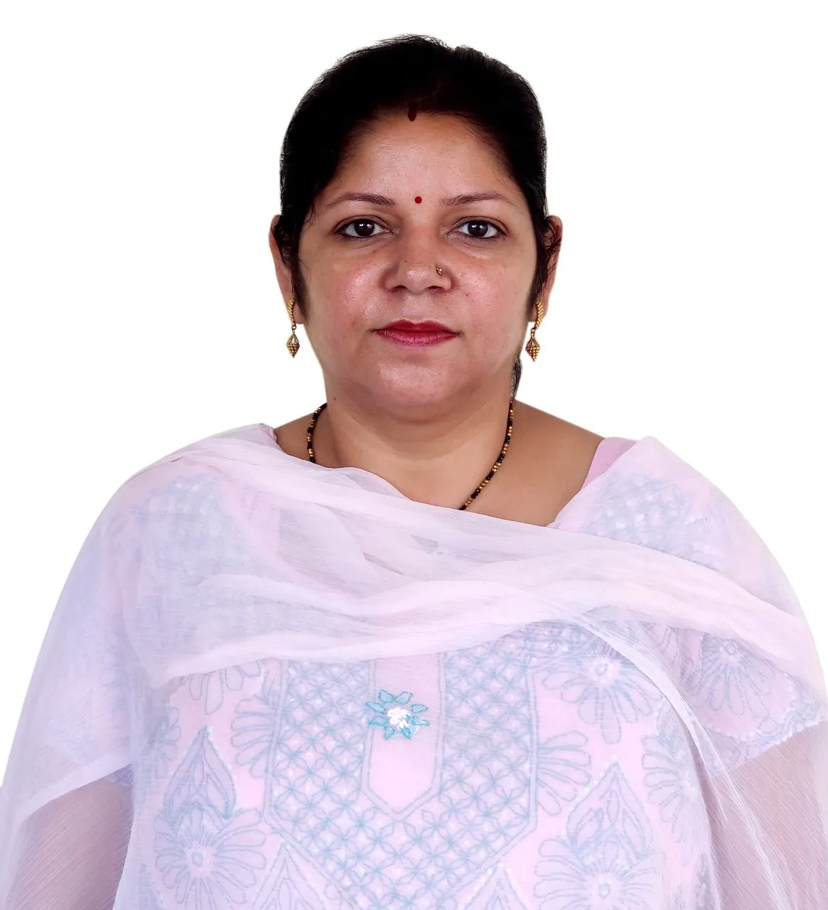 Know About Our Expert Faculty Members | Pal College